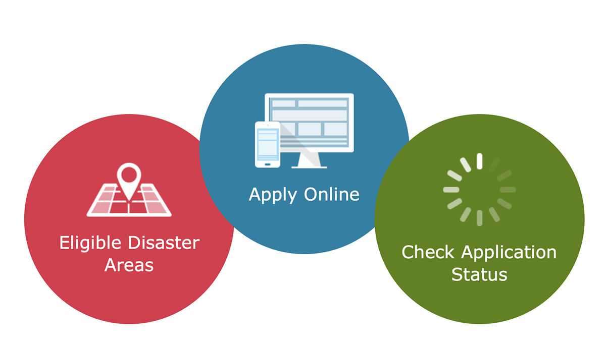 The Top 5 Things You Need to Know About the Small Business ...